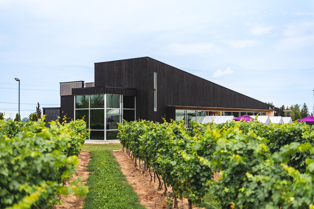 Wine, spirits and brewers face new challenges as pandemic recedes ...